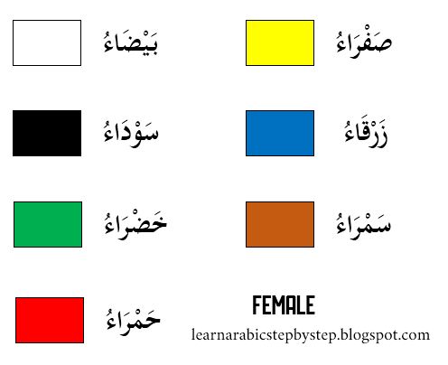 Learn Arabic Colors: Masculine and Feminine Forms