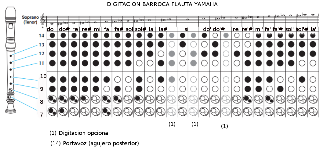 Flauta en do mayor: Digitaciòn flauta