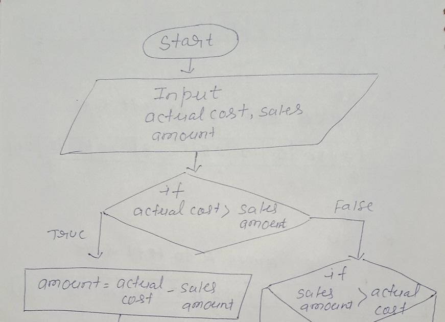 The Python Program Allows The User To Enter The Sales Amount And Actual Cost Of A Product Next