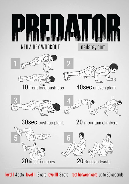 Home Gym: All Exercises by Neila Rey