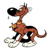 Io & Artù: RATAPLAN – IL CANE DI LUCKY LUKE