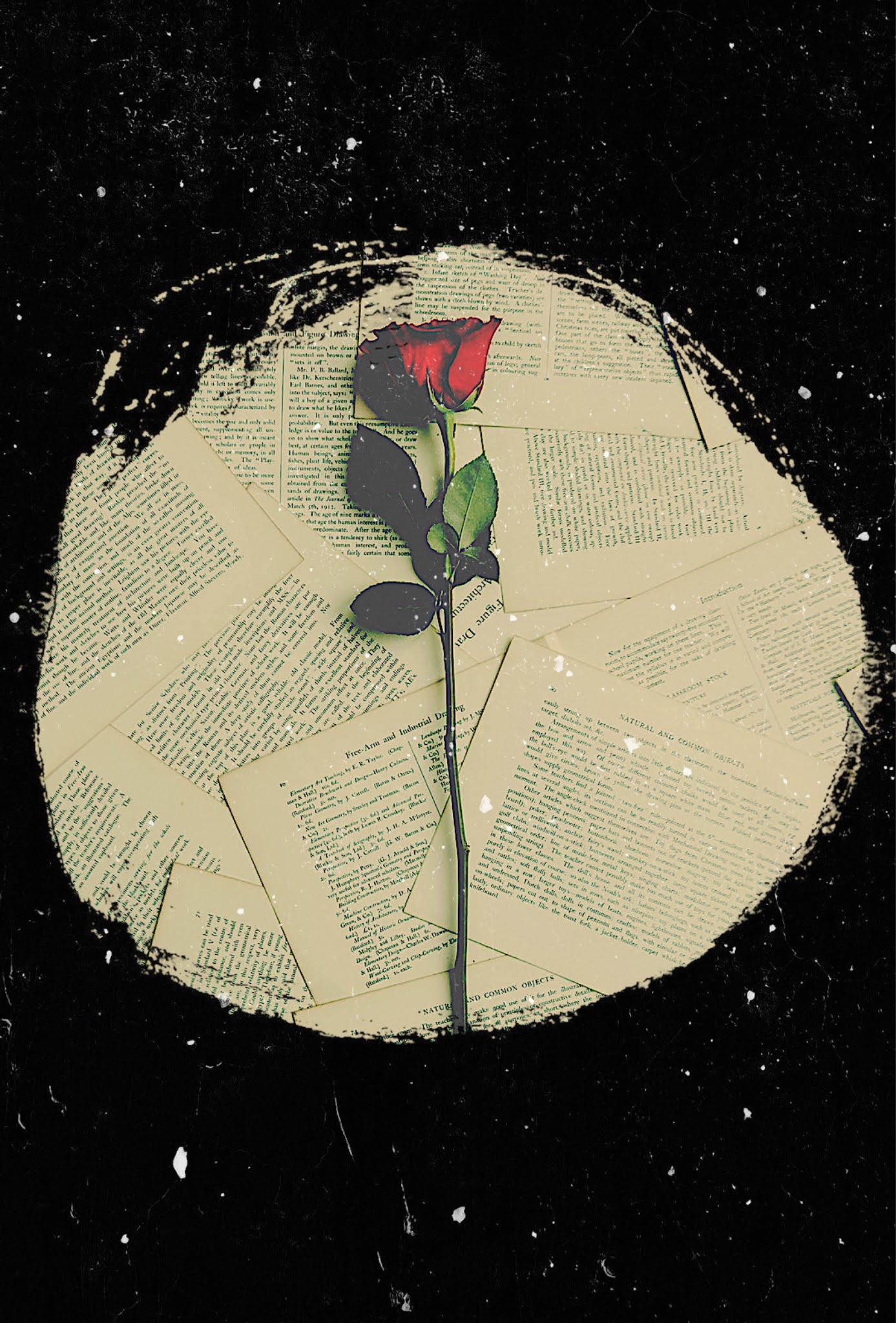 Apex Coture Magazine : A Beck Releases "You Coming Back?"