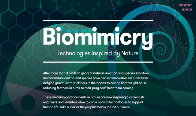 Biomimicry: Technology inspired by Nature #infographic - Visualistan