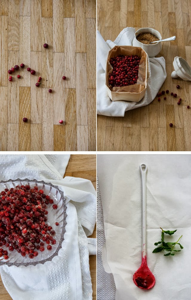 52 Plates of Delight: Der Alleskönner – die Preiselbeere