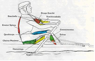Remo Historia: O esforço do remador