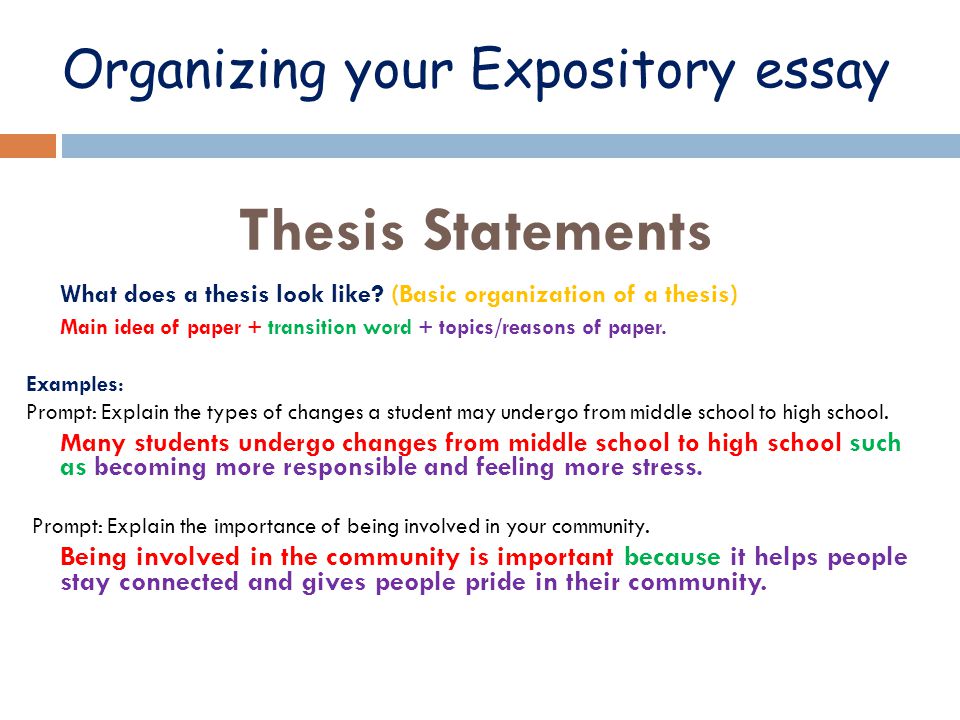 Thesis Statement Examples Expository Essay - Birthday Letter