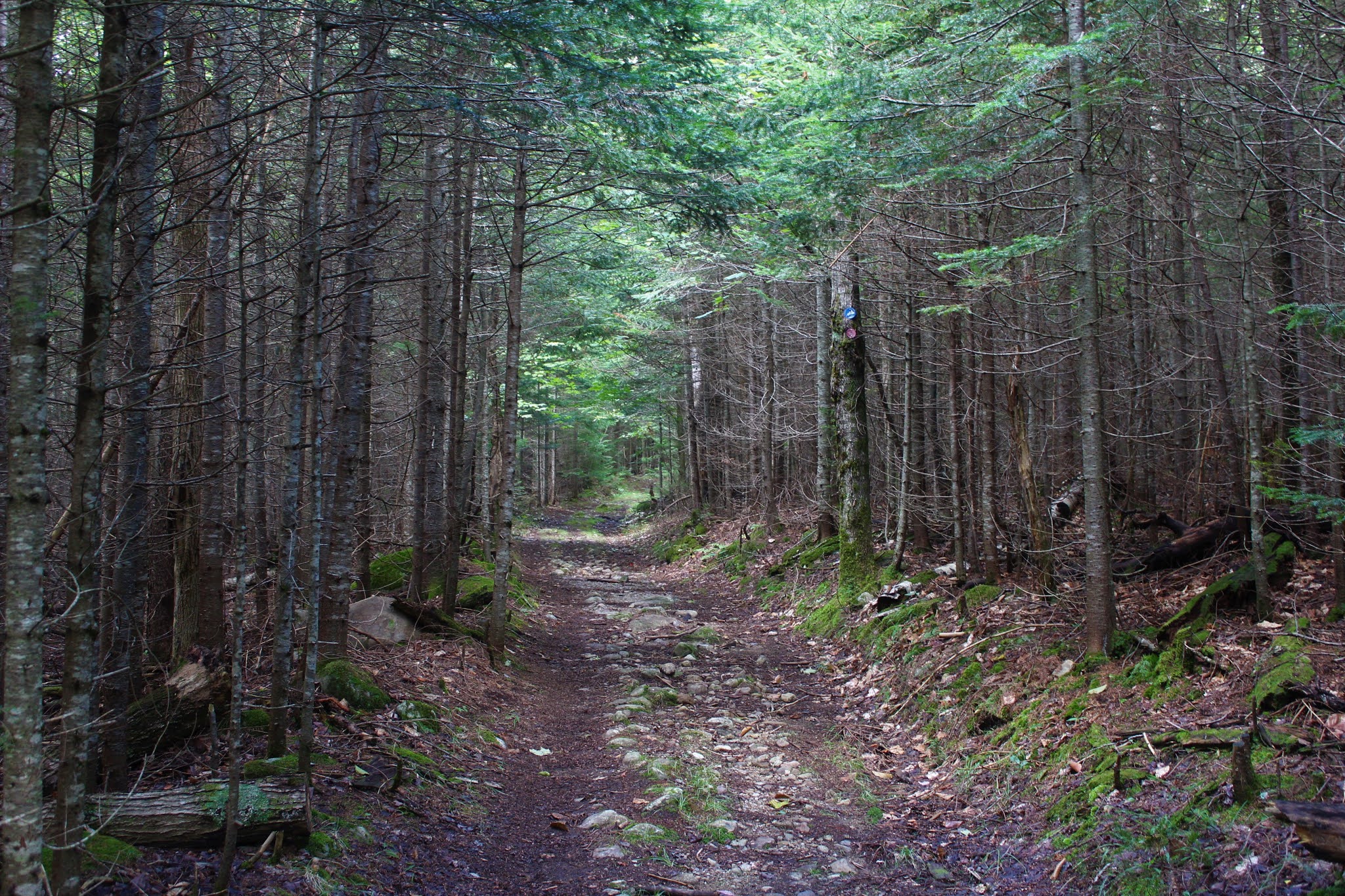 Walking Man 24 7: Cooper Kiln Pond & Morgan Mountain(Wilmington Wild ...