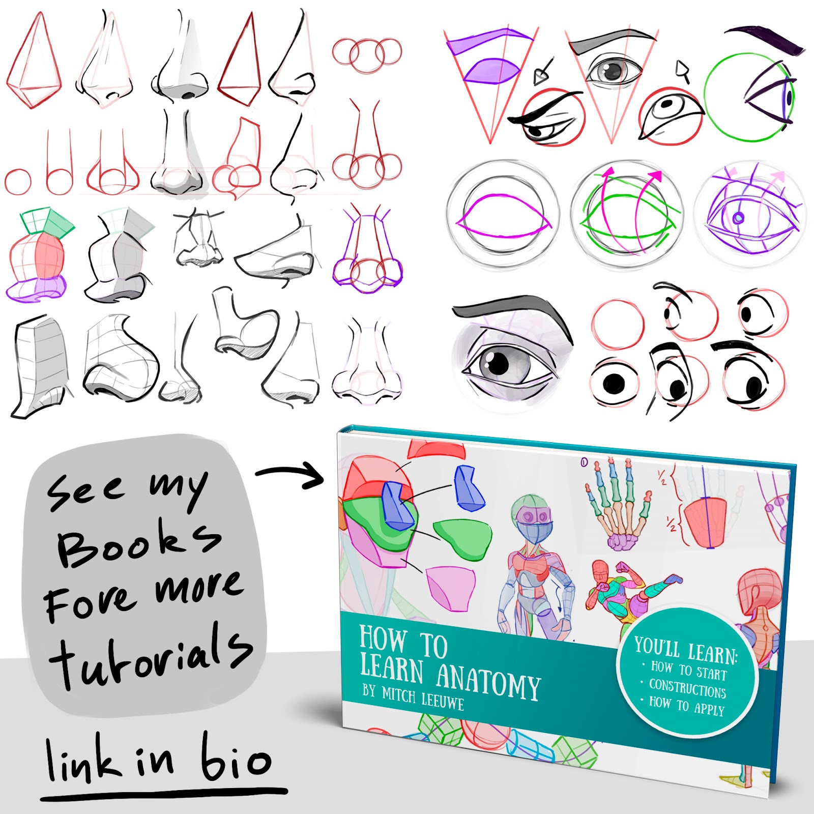 Learning drawing principles: T