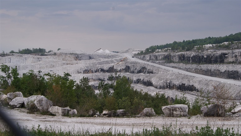 Chronicles from the Hill: Rocks and Orchids