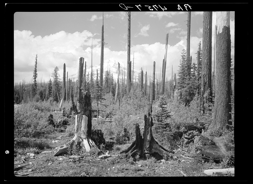 NCCPR Child Welfare Blog: January 2021