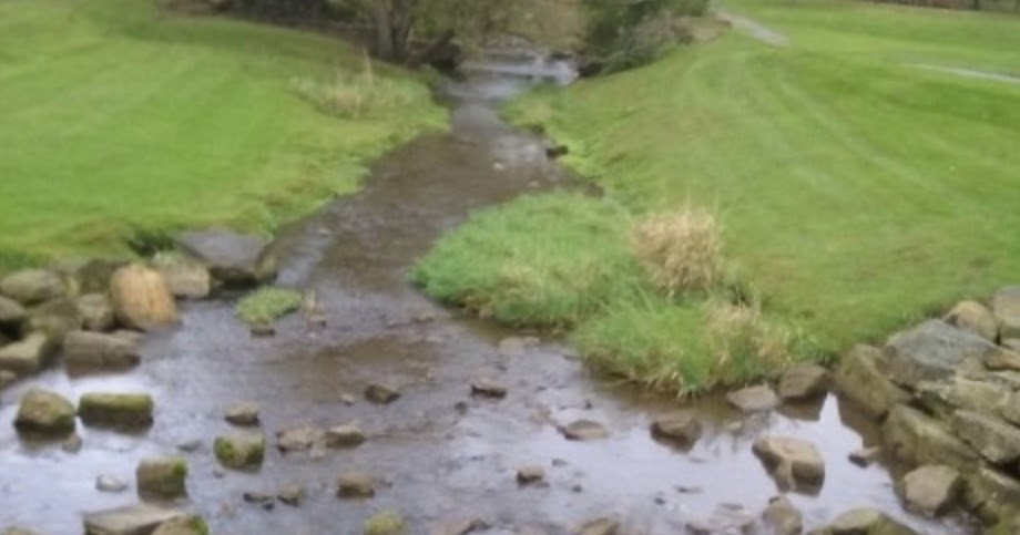 PA Environment Digest Blog: Extension How To: Stream Bank Stabilization ...