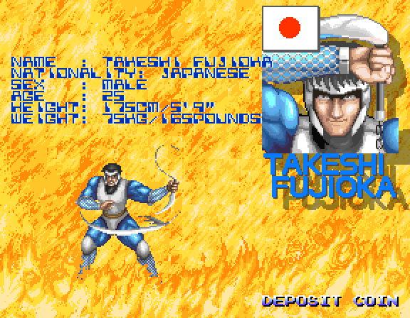 VGJUNK: KNUCKLE HEADS (ARCADE)