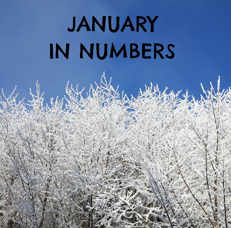 My New Happy: January In Numbers