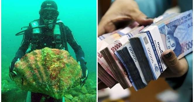 Mengenal Kerang Kima, Hewan Laut Super Langka yang Keberadaanya Membuat ...