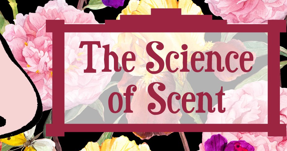 The Science of Scent or "The Nose Knows"