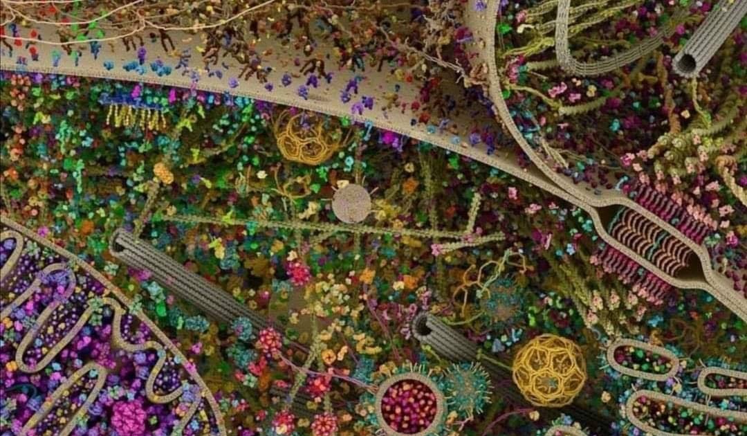 CIG HEALTH: Spiritual Healing Courses: The Universal Energy of Plasma ...