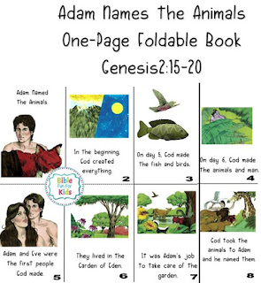 Adam Names the Animals | Bible Fun For Kids