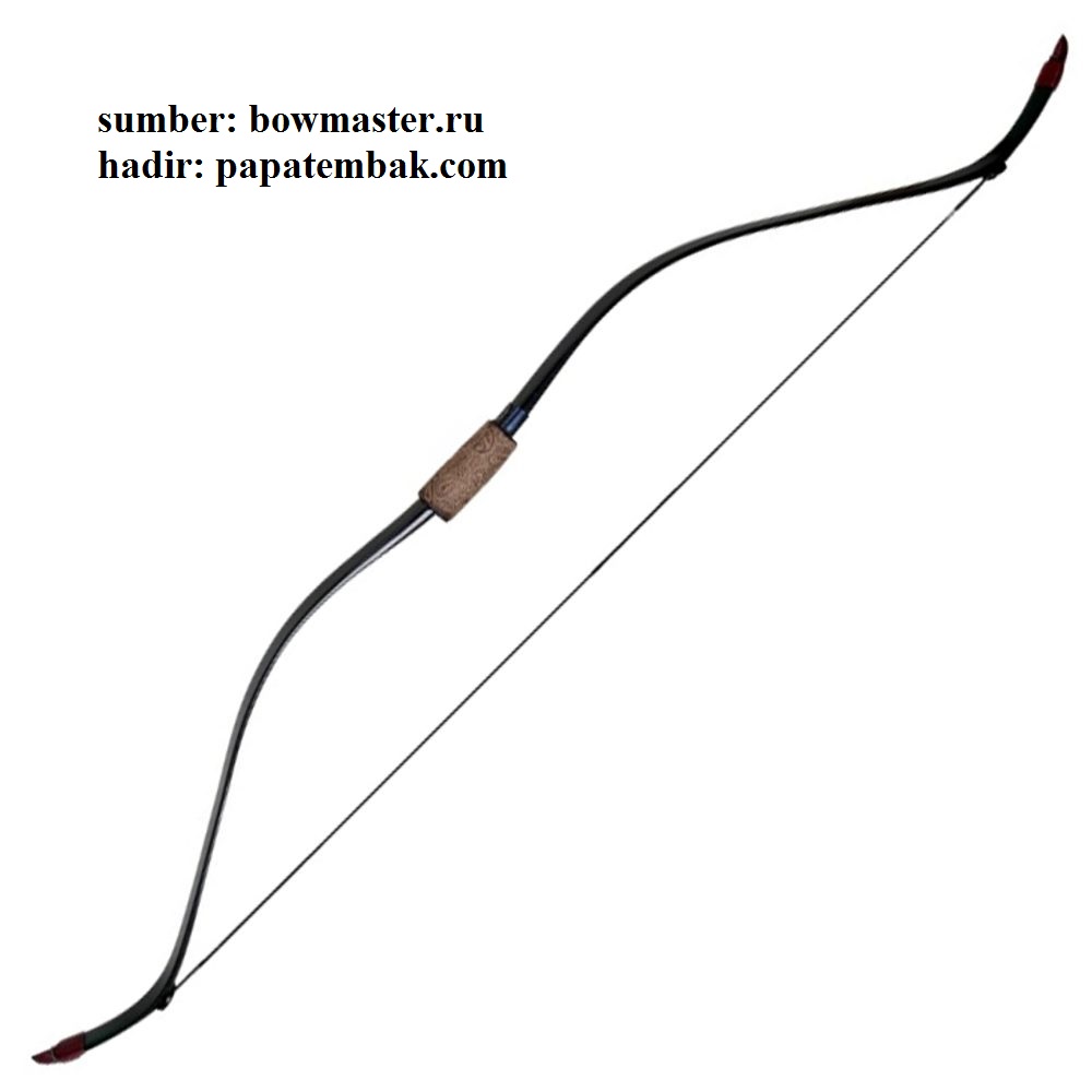 Perbedaan Busur "Recurve" dan Standard Bow - Tutorial Memanah