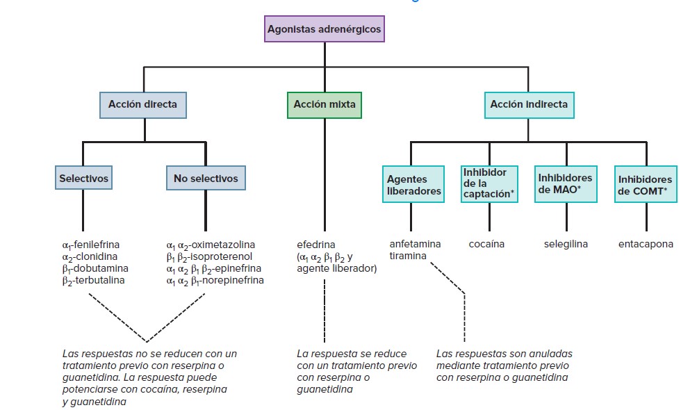 Agonistas y Antagonistas Adrenérgicos