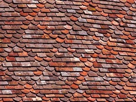 25+ Best Roof Designs for Your Dream Home | ARA HOME