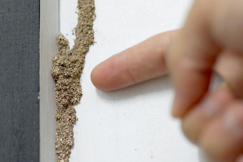 Your August House Maintenance Checklist your-august-house-maintenance-checklist