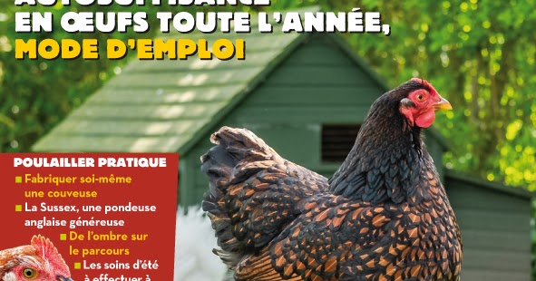 Poules et jardin