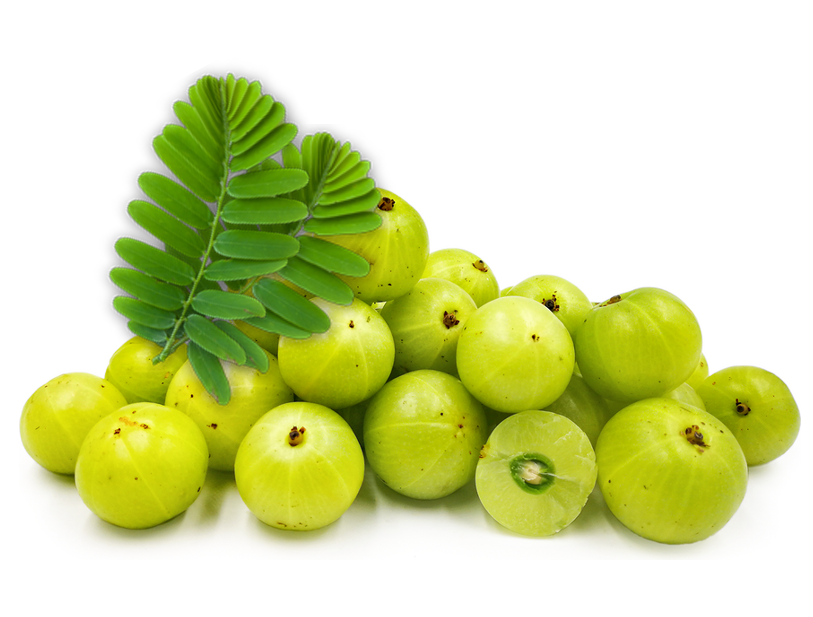 AMLA TEA - AYURVEDIC DRINK FOR FAT LOSS AND ITS BENEFITS