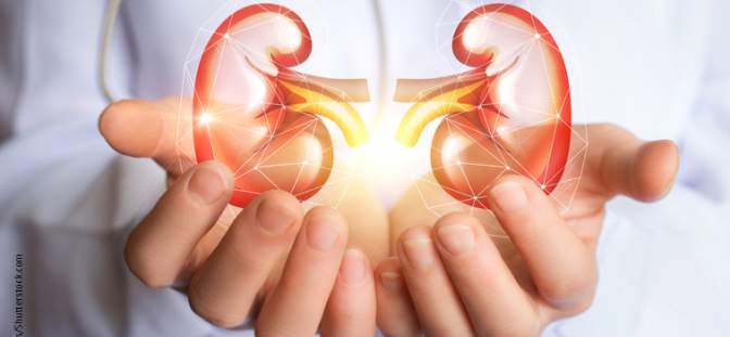 Sell Kidney Online: Kidney Donor Needed