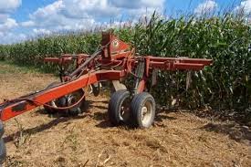 HyMark High Spots: Paraplow or Paratill Corn Plot 1987