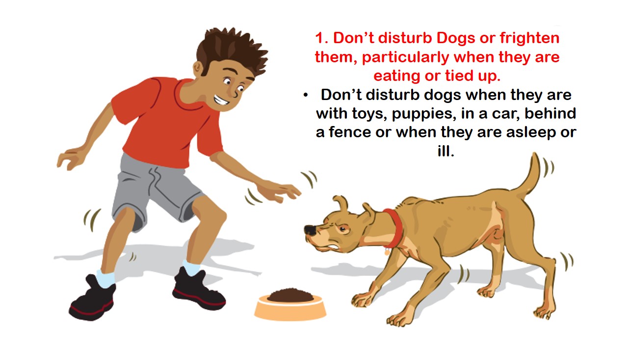 The Family physician : How to prevent dog bites?