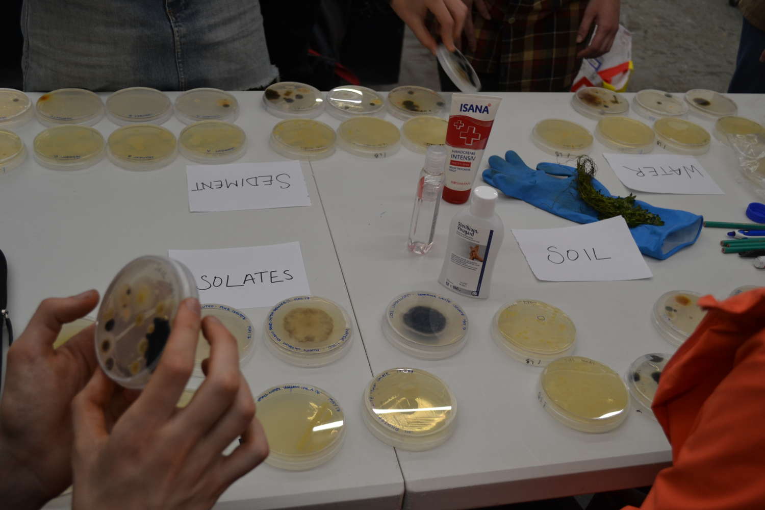 art laboratory berlin