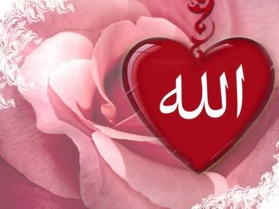 islamic world: LOVE ALLAH SWT