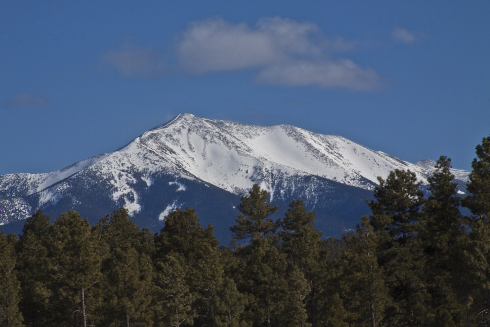 Walking Arizona: Arizona's Volcanoes