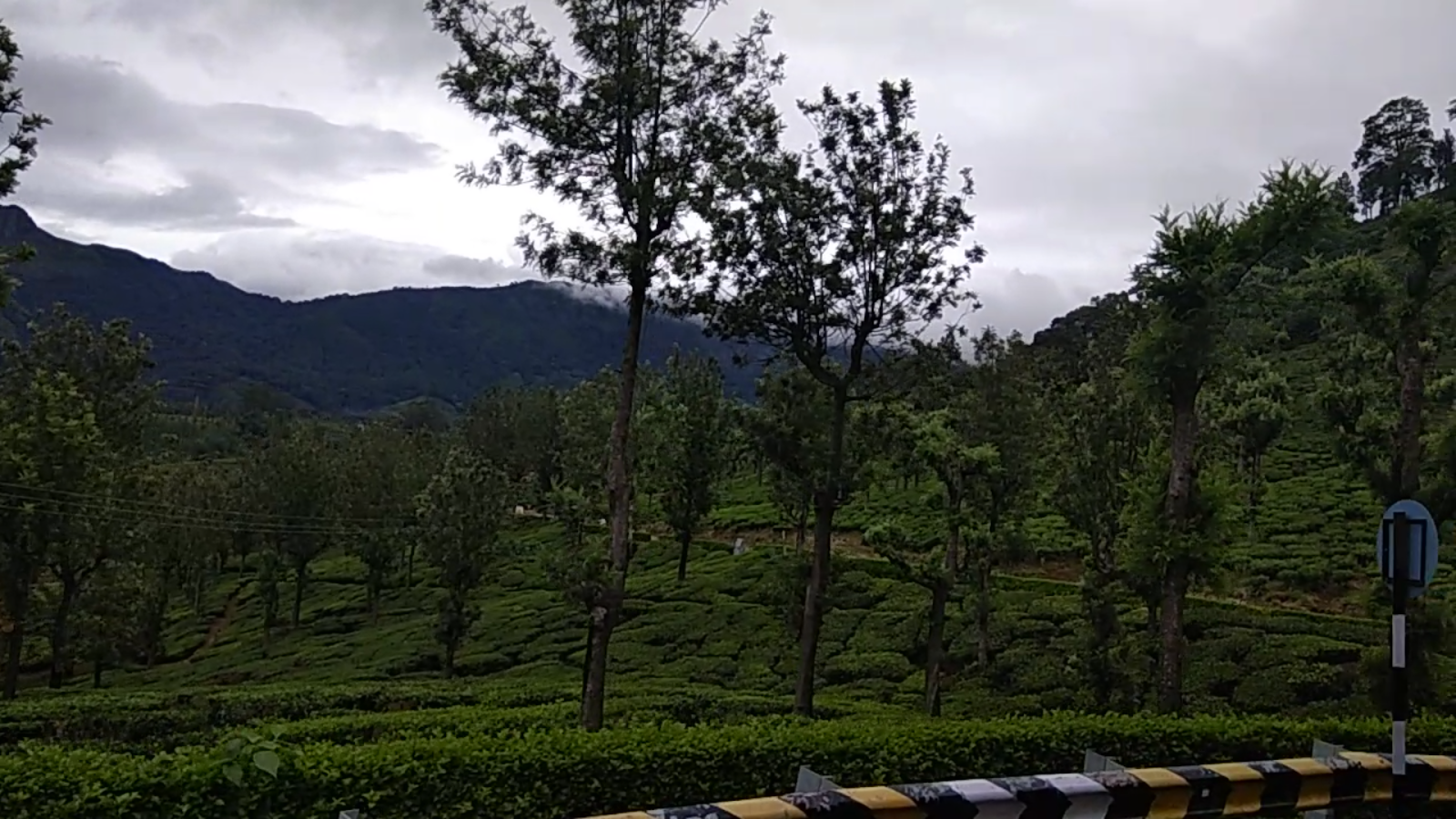 Magical Land Of Green World On Earth: TIGER Valley Valparai