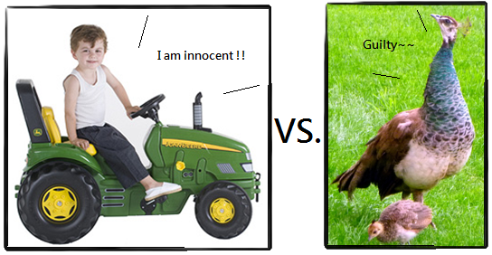 Olé: A Fowl Trick to Play on a Lawn Tractor