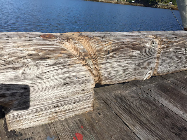 Denali Rose: Tidbit: Docking with Bull Rails Instead of Cleats ...