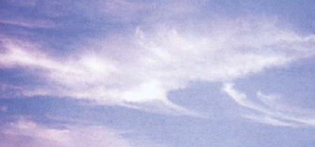 Bentuk-bentuk Awan: Cumulus, Cirrus, Stratus, dan Nimbus