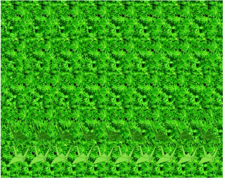 waone's articles: Tehnik Belajar Cara melihat gambar Stereogram