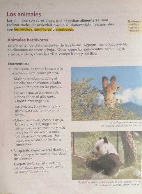 "APRENDE EN CASA 2021" GRADO 302JM: CIENCIAS NATURALES