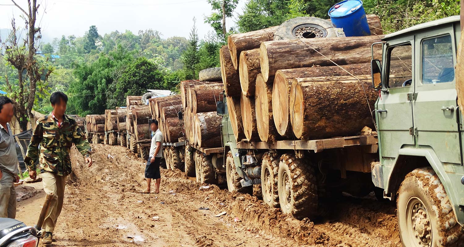 Herb's blog: Myanmar deforestation
