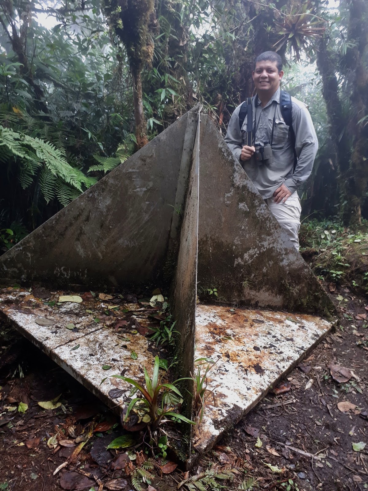 Jan Axel's Blog: February 2019