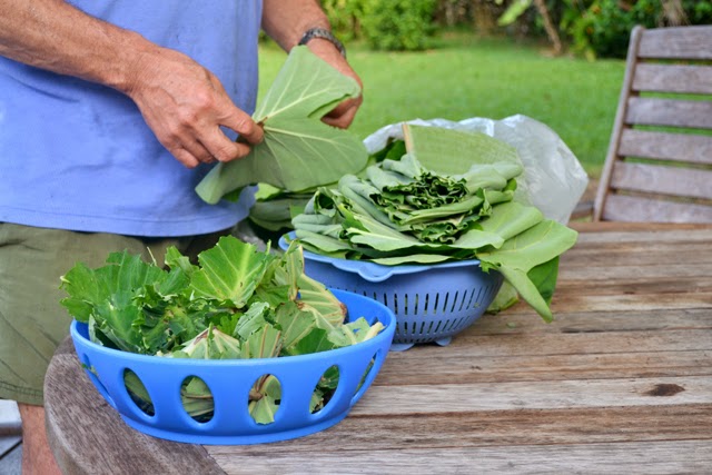 banana meet-cute: Raro Holiday