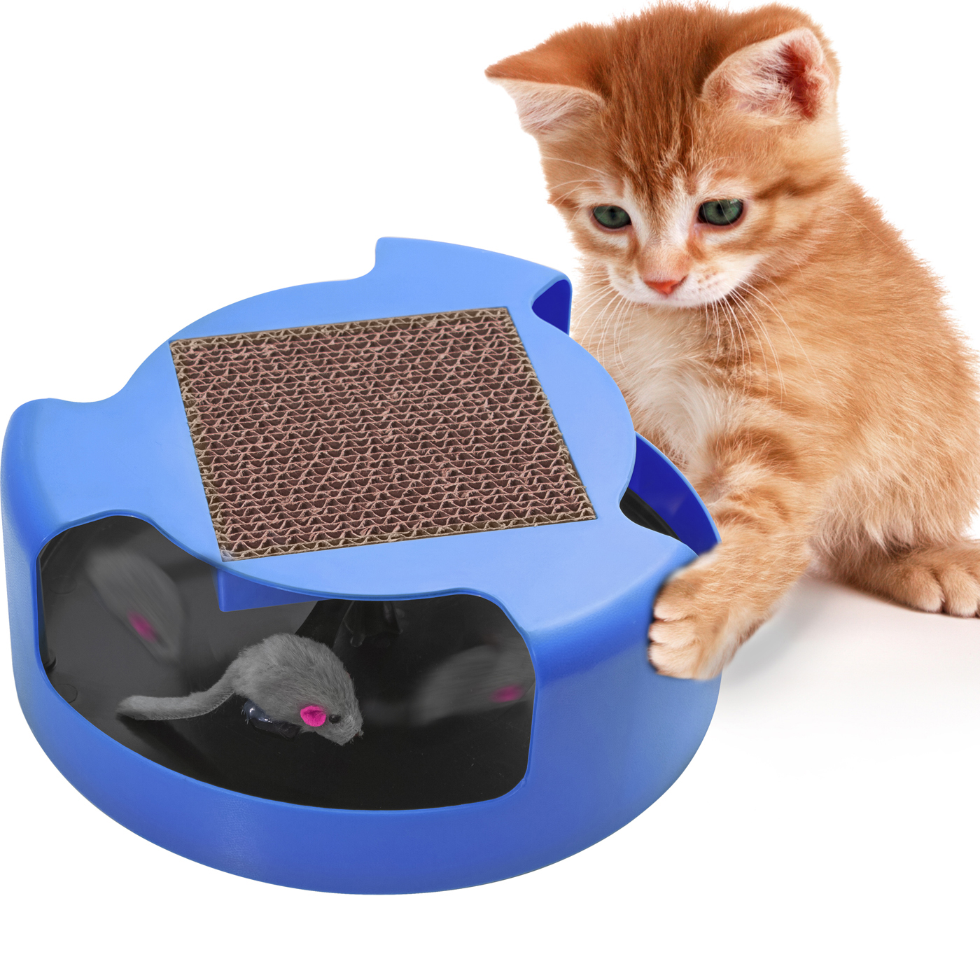 Magic Tricks Special Items Cat Toy magic-tricks-special-items-cat-toy