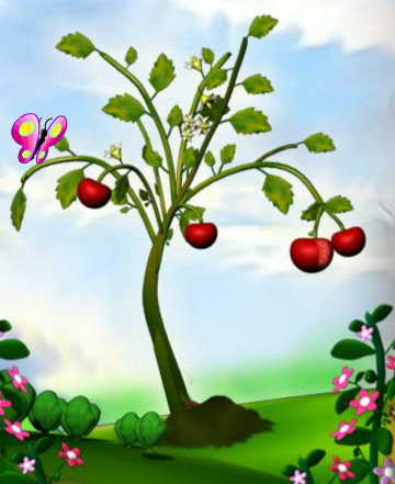 1ºC aprende: ¿Qué necesitan las plantas para vivir?