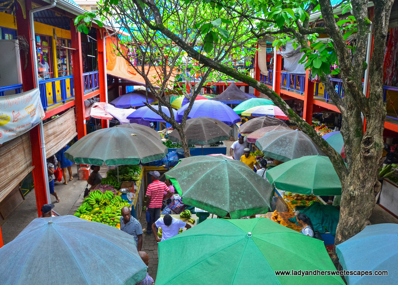 Seychelles on a Budget: Travel Itinerary, Expenses and Things To Know ...