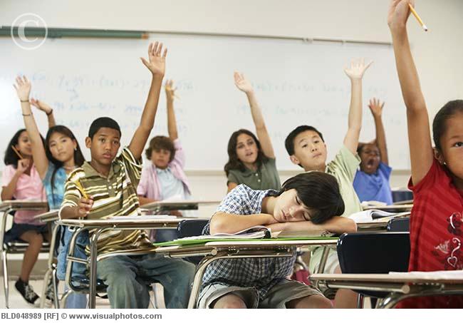 All funny pictures: Funny Students wallpapers 2013