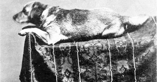 The Digital Research Library of Illinois History Journal™ : The ...