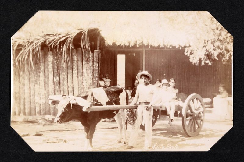 Amazing Pics That Document Everyday Life of Mexico in 1902 | Vintage ...