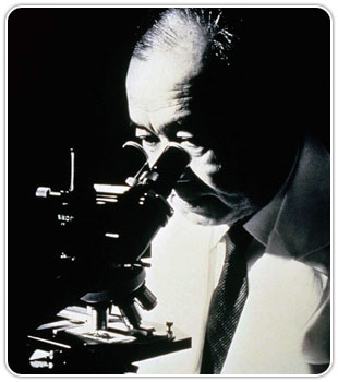 Y.A.K.U.L.T: YAKULT HISTORY