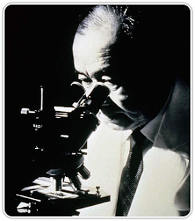 Y.A.K.U.L.T: YAKULT HISTORY